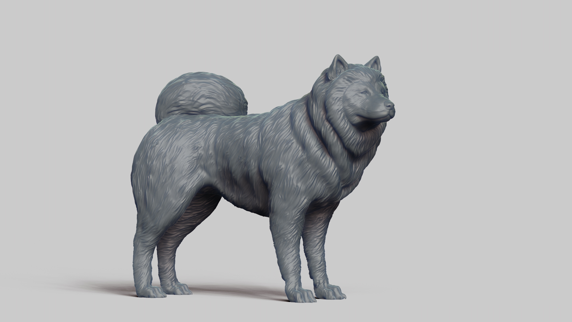 STL file Samoyed V2・3D printable model to download・Cults