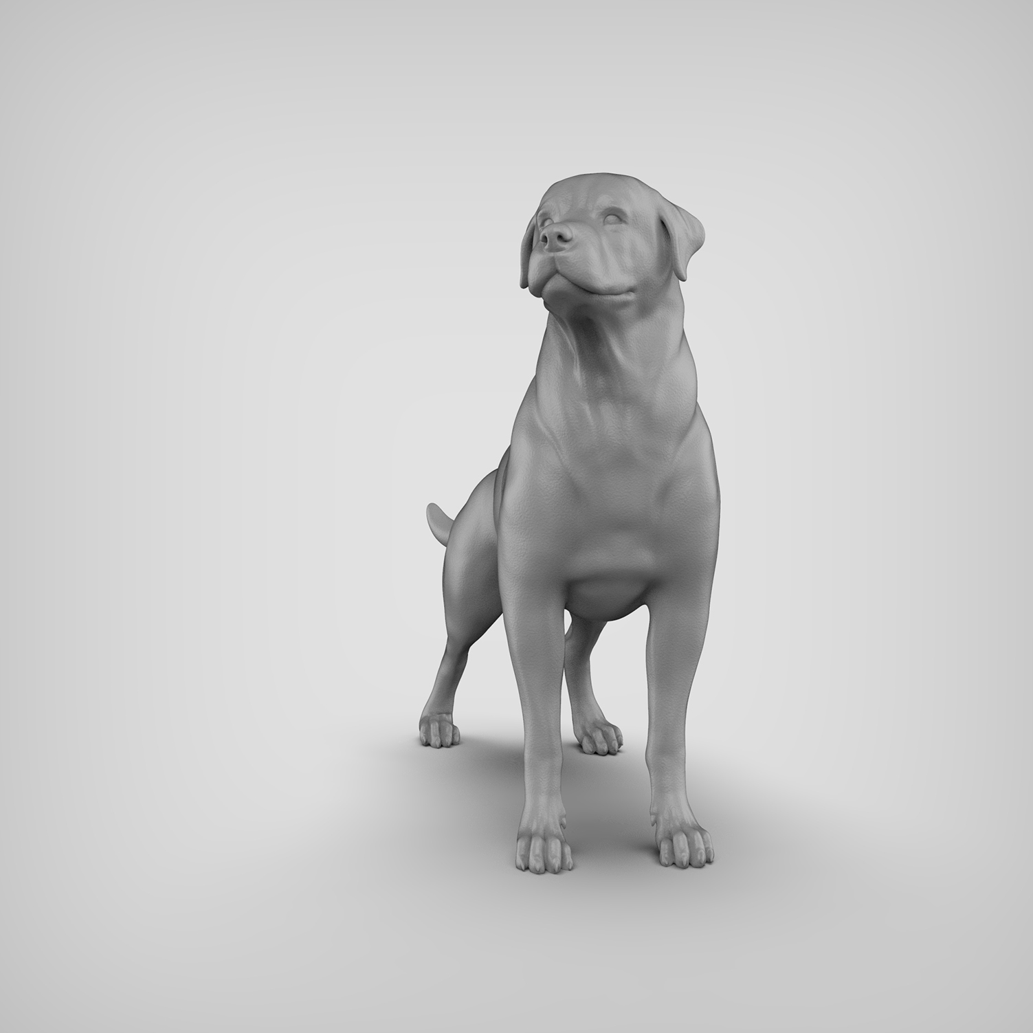 STL file Rottweiler Pose 02・3D print design to download・Cults