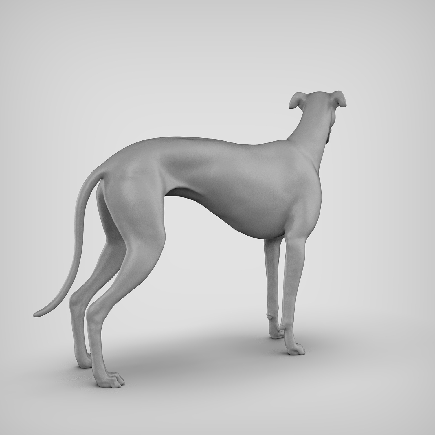 STL file Greyhound Pose 01・3D printer design to download・Cults