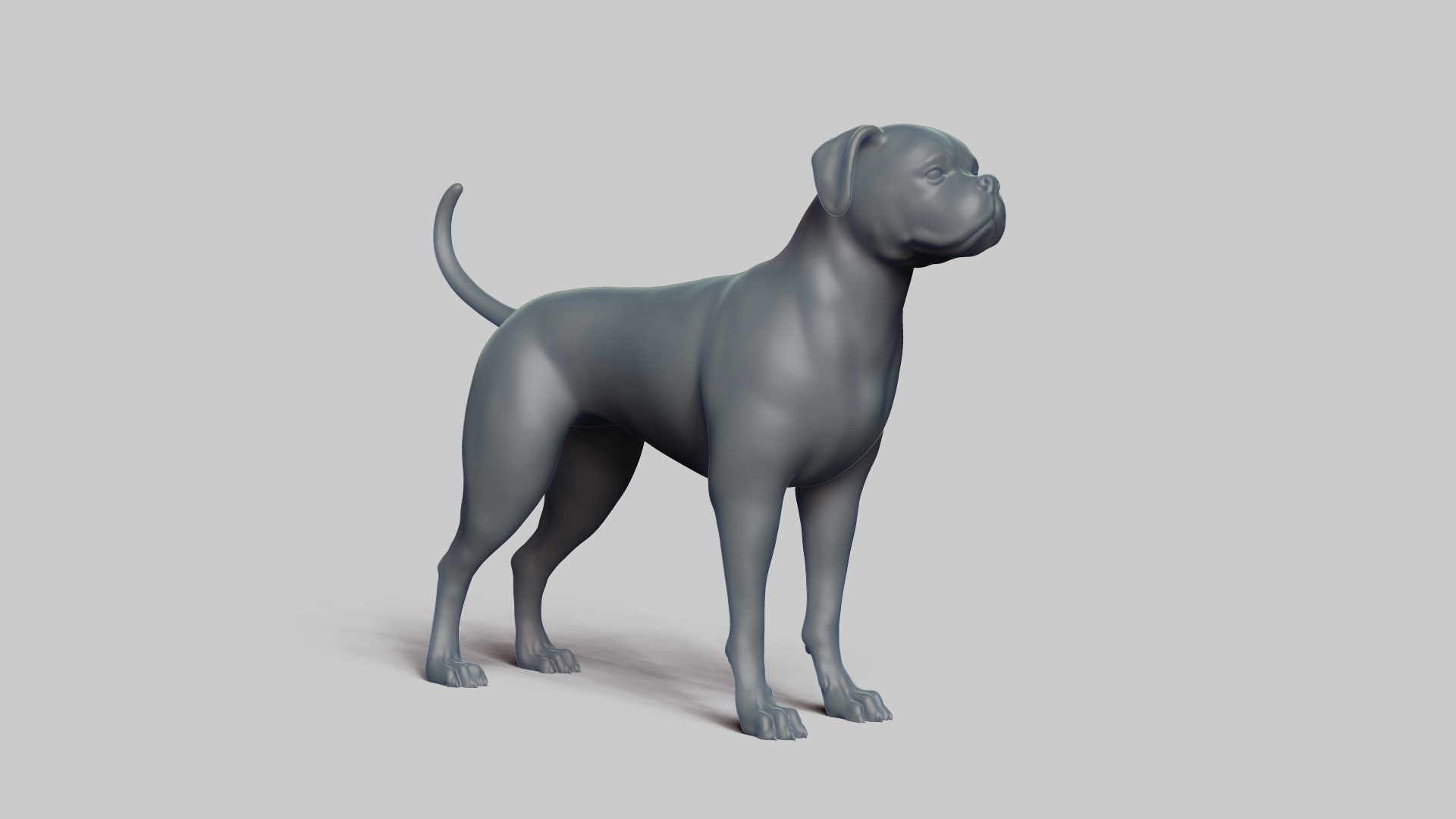 STL file Boxer Dog V3・Model to download and 3D print・Cults