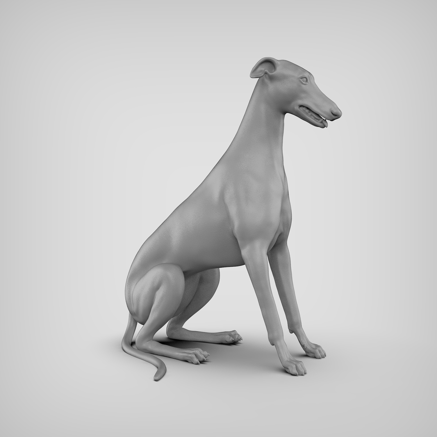 STL file Greyhound Pose 03・3D printable design to download・Cults