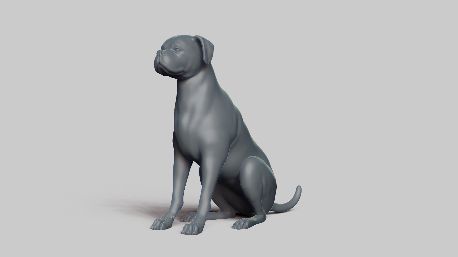 STL file Boxer Dog V2 🐕・3D printable model to download・Cults