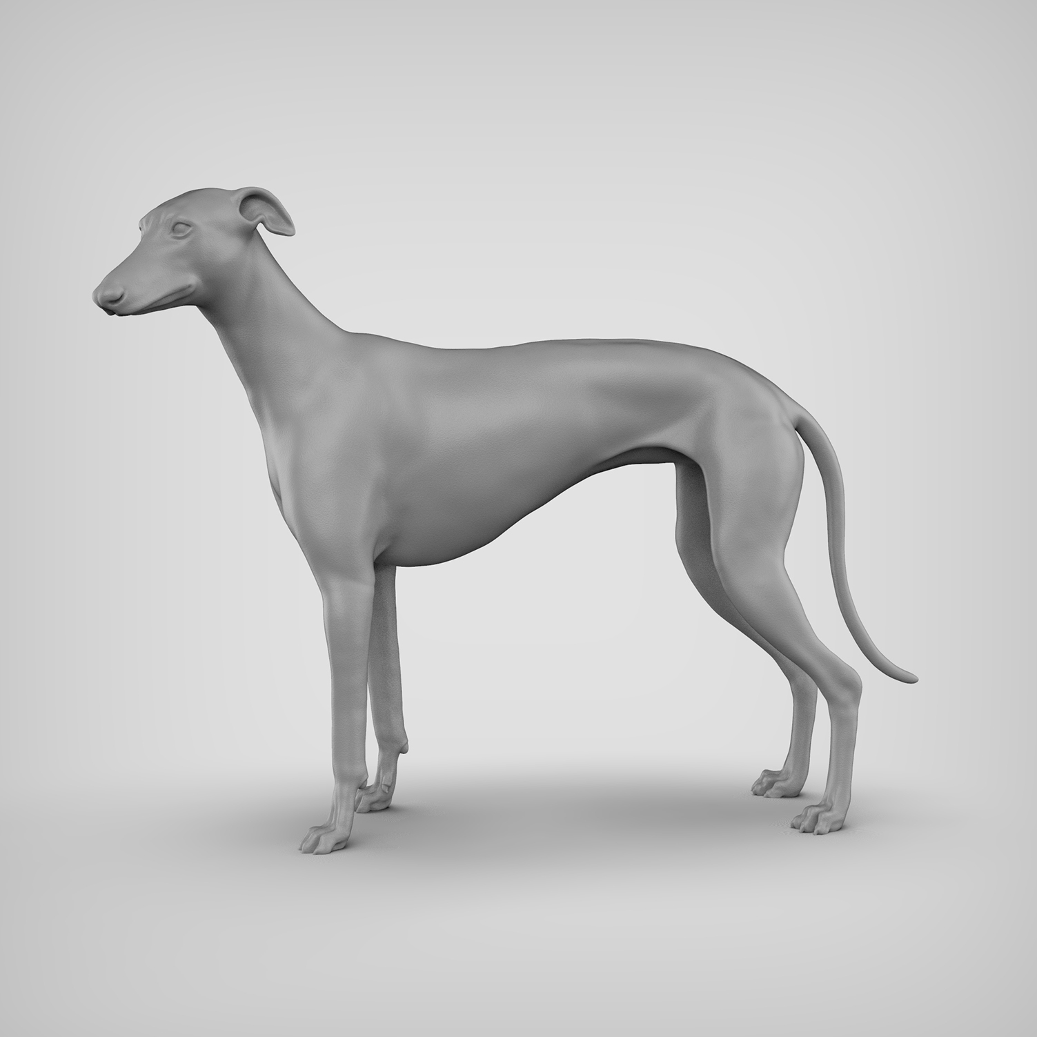 STL file Greyhound Pose 01・3D printer design to download・Cults