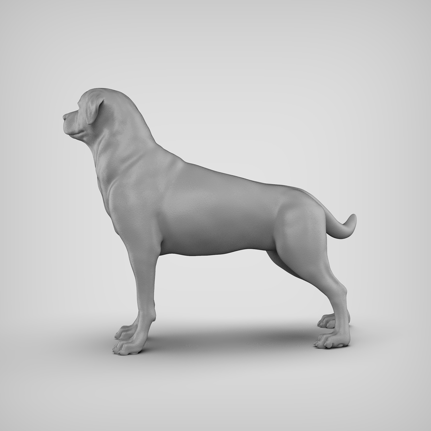 STL file Rottweiler Pose 02・3D print design to download・Cults
