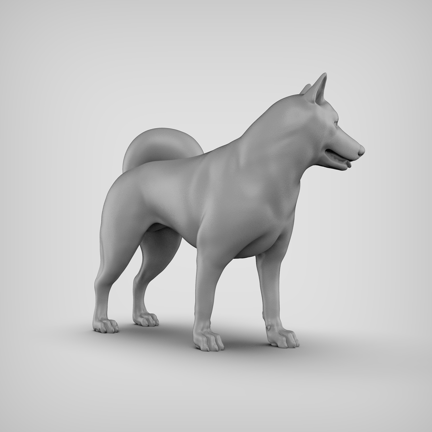 STL file Siberian Husky Pose 02・Template to download and 3D print・Cults