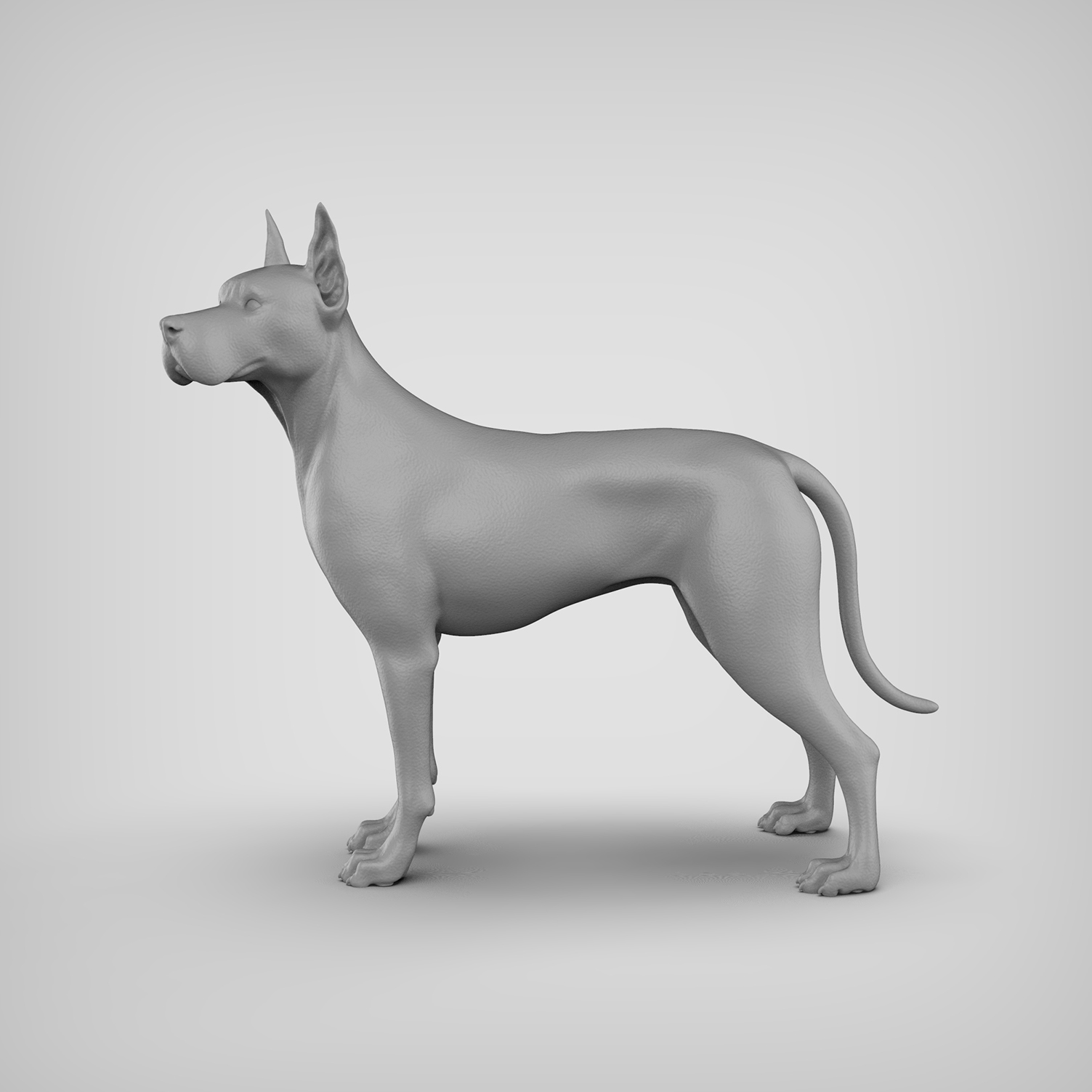 STL file Great Dane Pose 01・Model to download and 3D print・Cults