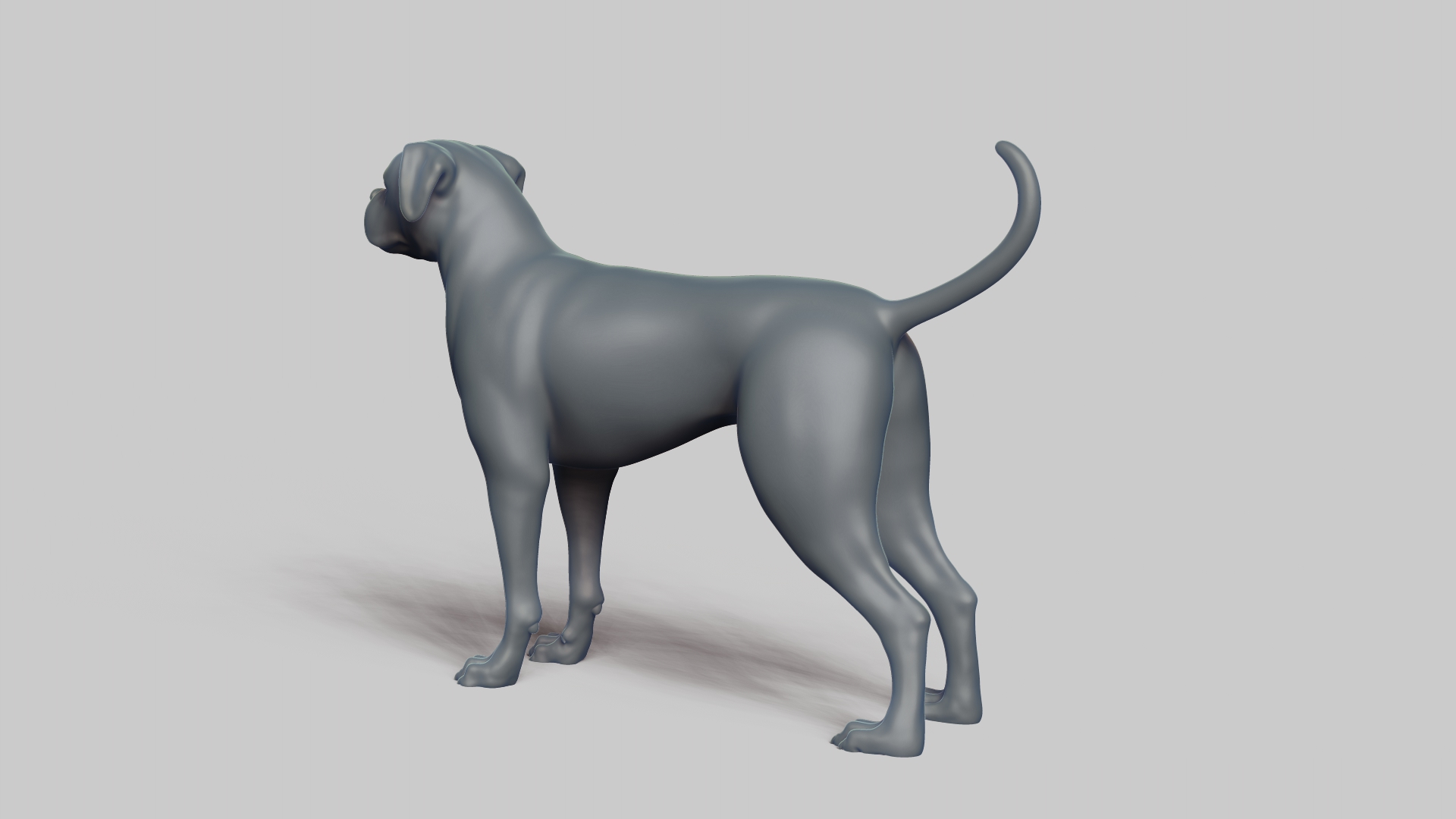 STL file Boxer Dog V3・Model to download and 3D print・Cults