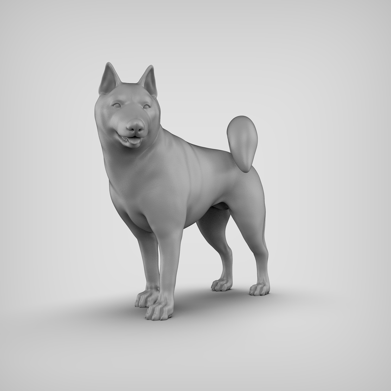 STL file Siberian Husky Pose 02・Template to download and 3D print・Cults