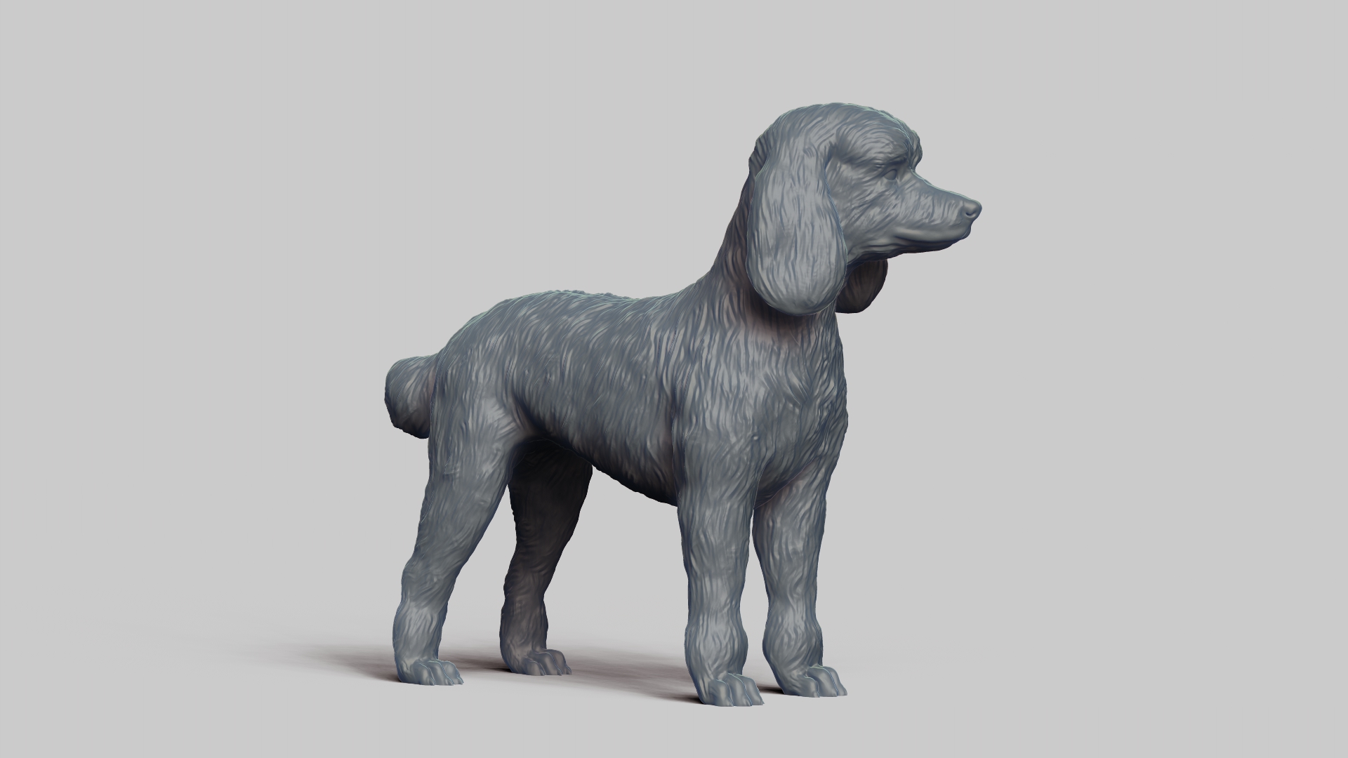 STL file Large Poodle V1 🐩・Design to download and 3D print・Cults