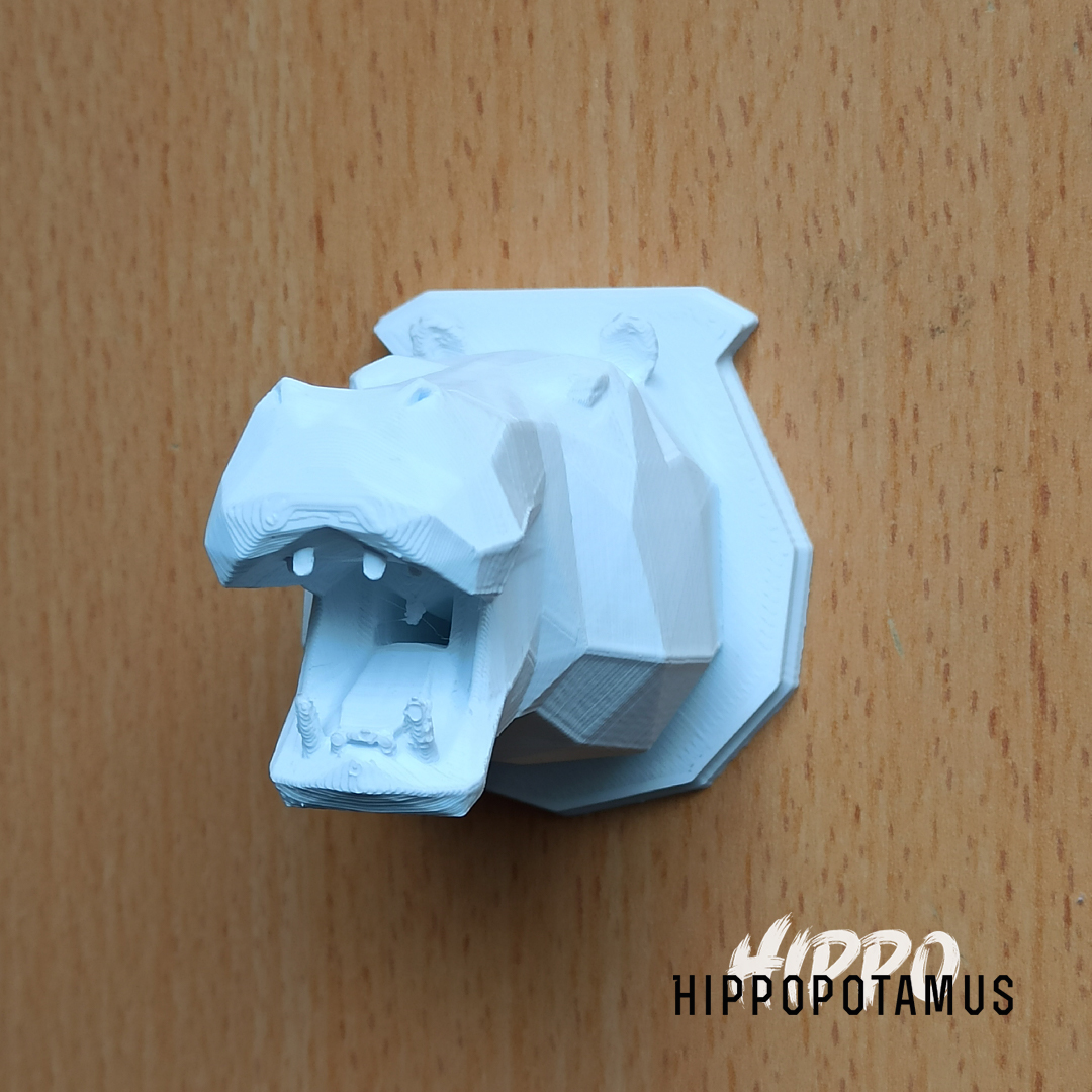 STL file ZOOtrophy Hippo・3D printable model to download・Cults