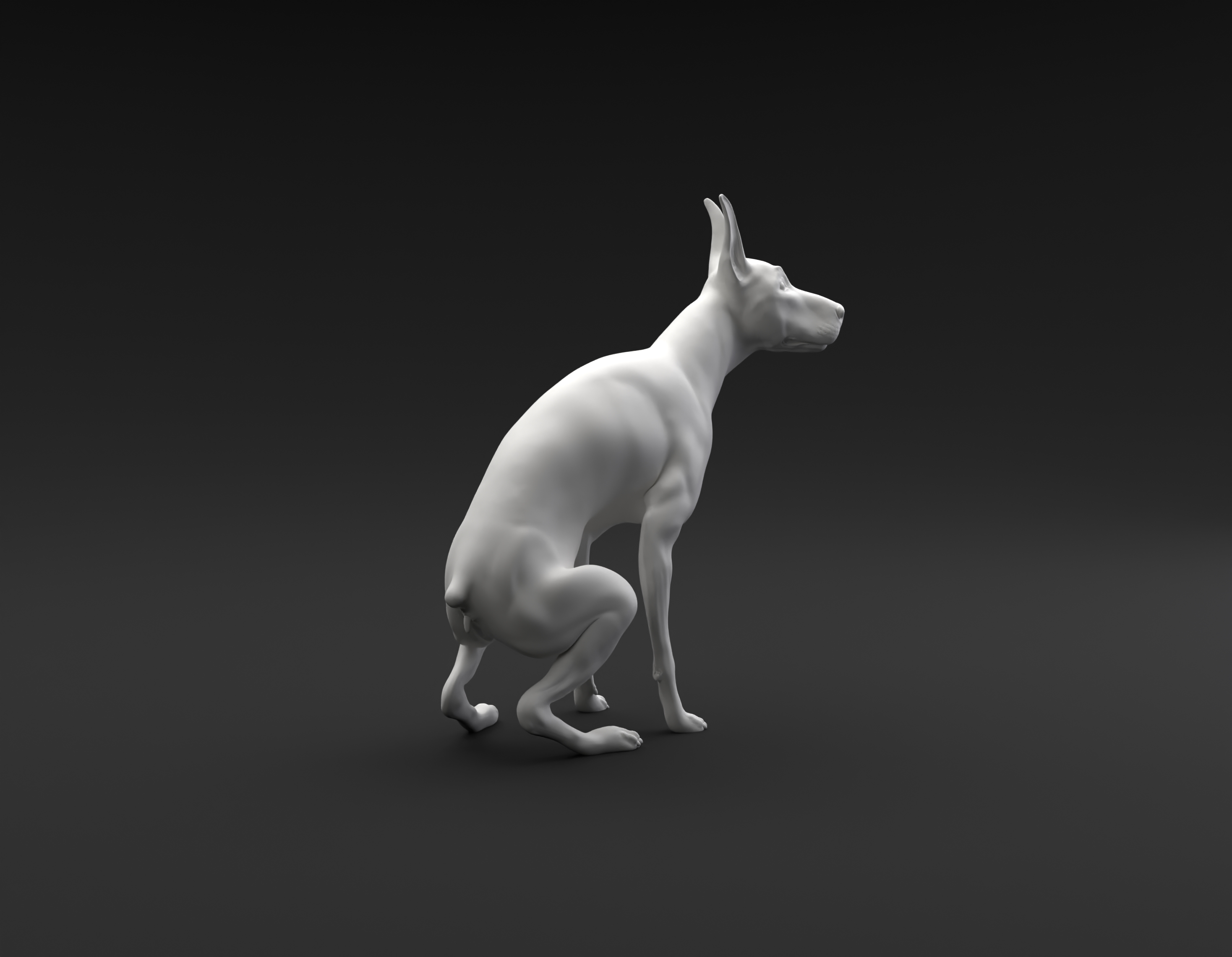 3D file Doberman Pinscher pooping・3D printing template to download・Cults