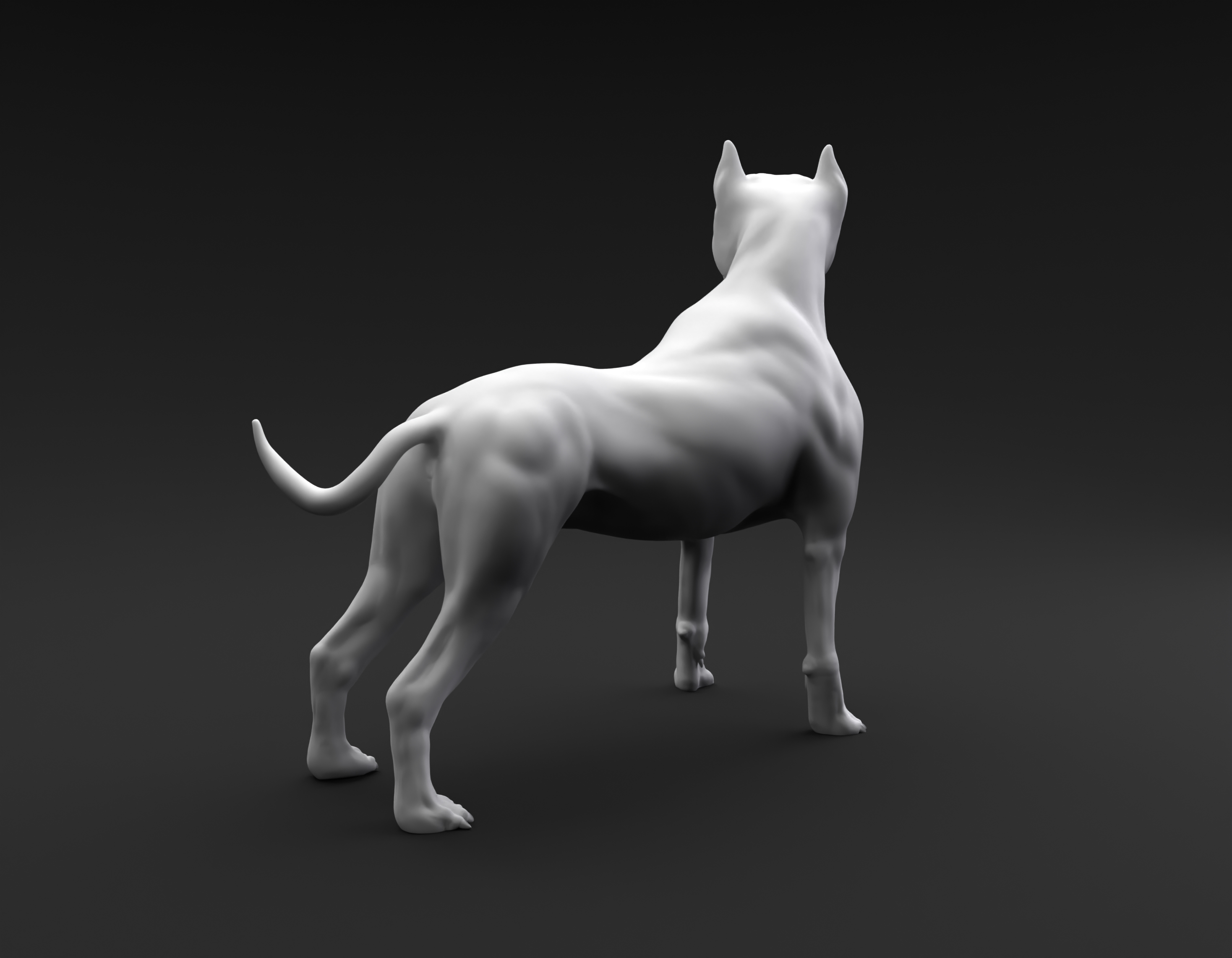 3D file Pit Bull Terrier・3D printer design to download・Cults
