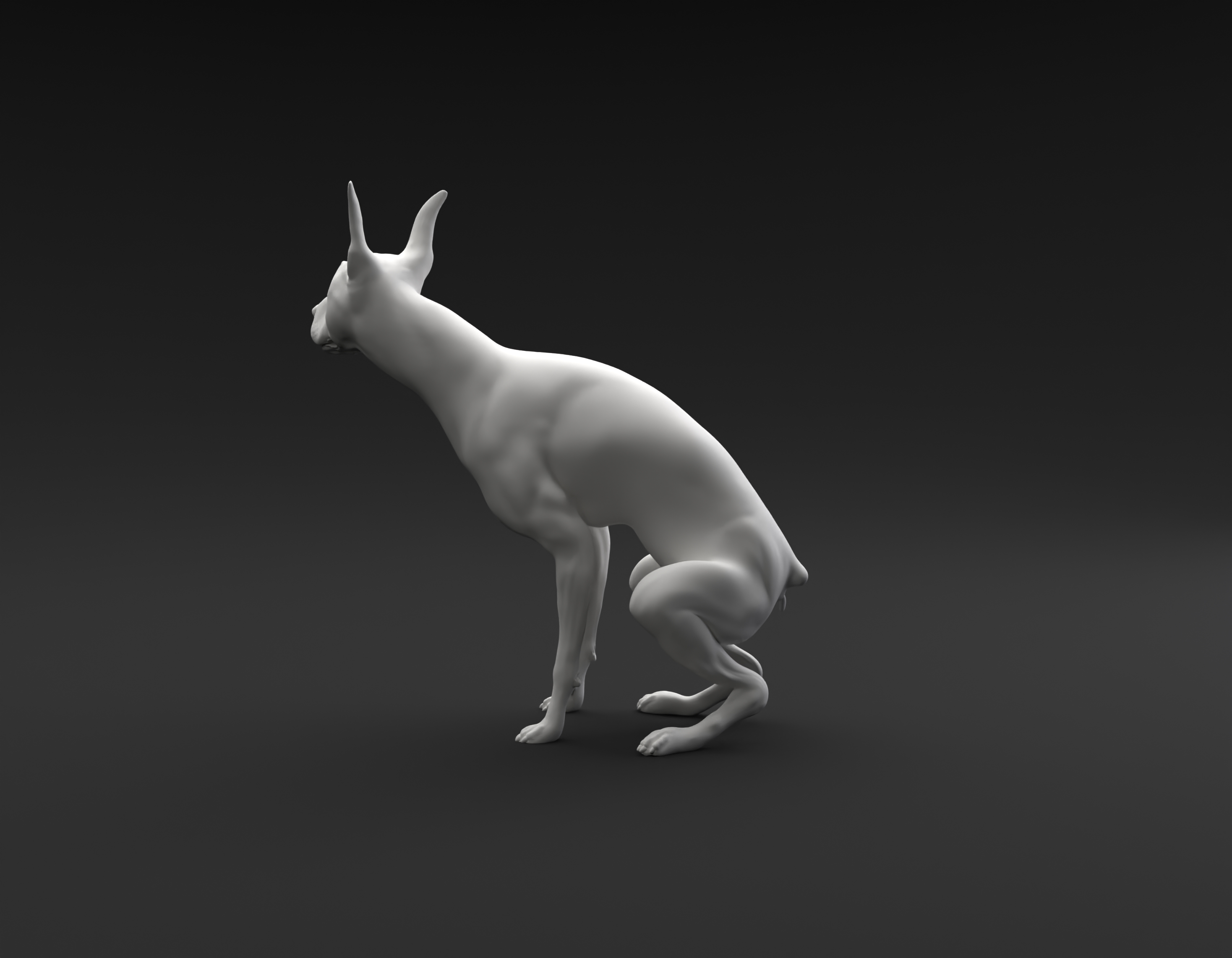 3D file Doberman Pinscher pooping・3D printing template to download・Cults