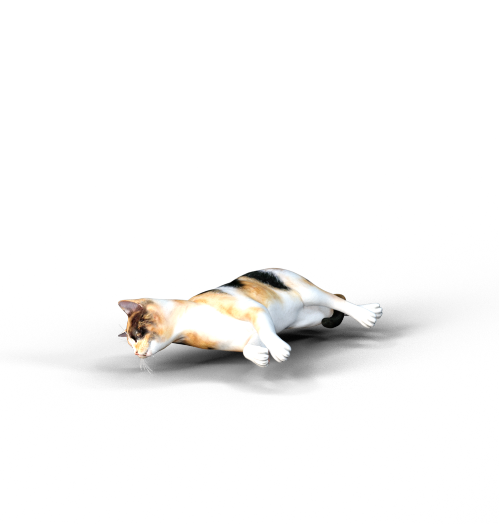 STL file CAT PACK 2・3D printer design to download・Cults