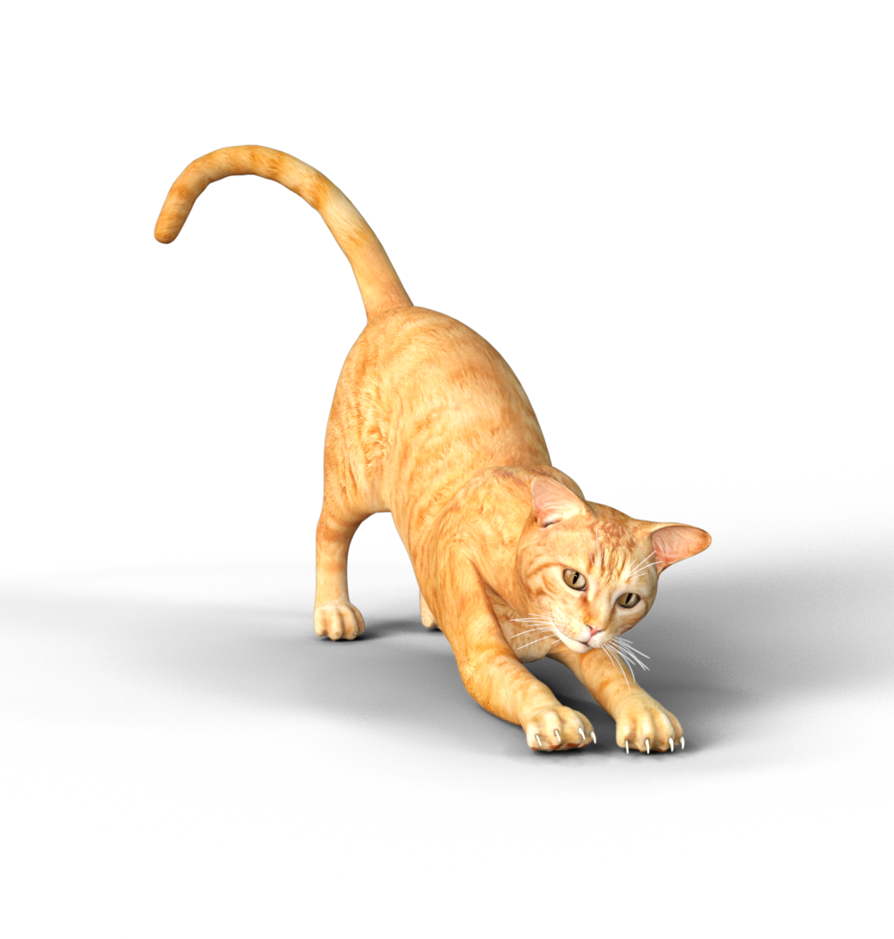 STL file cat pack 1・3D print model to download・Cults