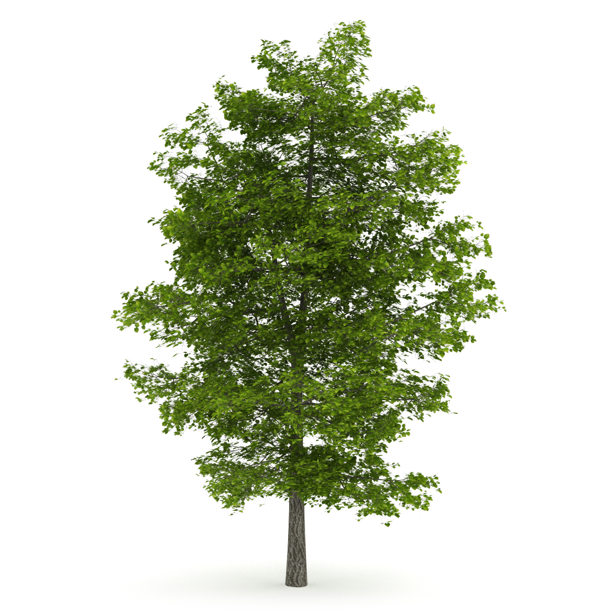 Free 3D file tree 3d model 🌳・3D print design to download・Cults