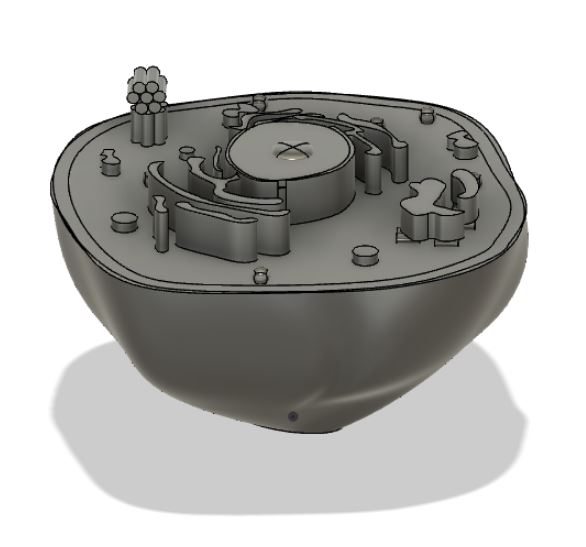 STL file Animal cell・3D print design to download・Cults