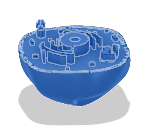 STL file Animal cell・3D print design to download・Cults