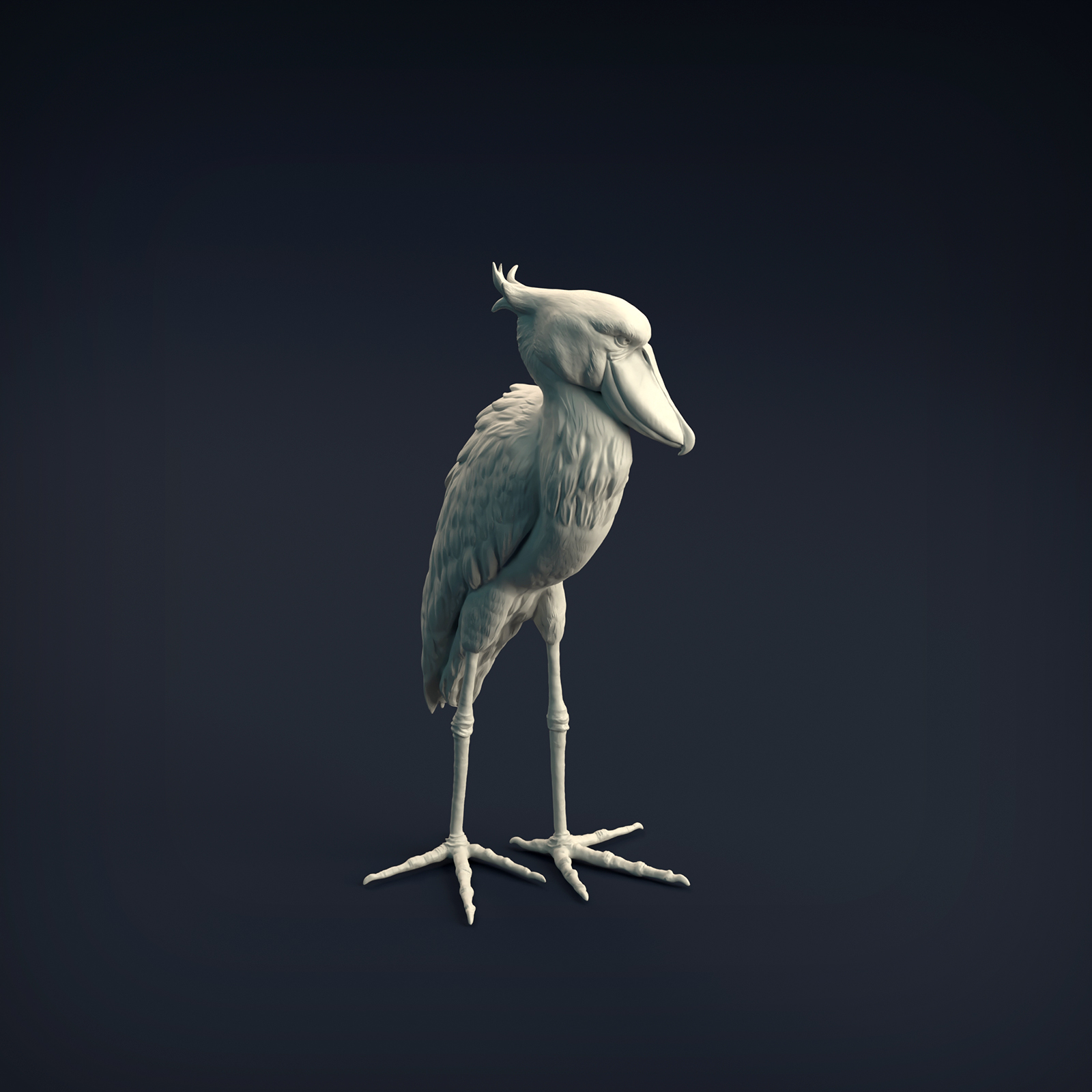3D file Shoebill 🐦・3D printing design to download・Cults