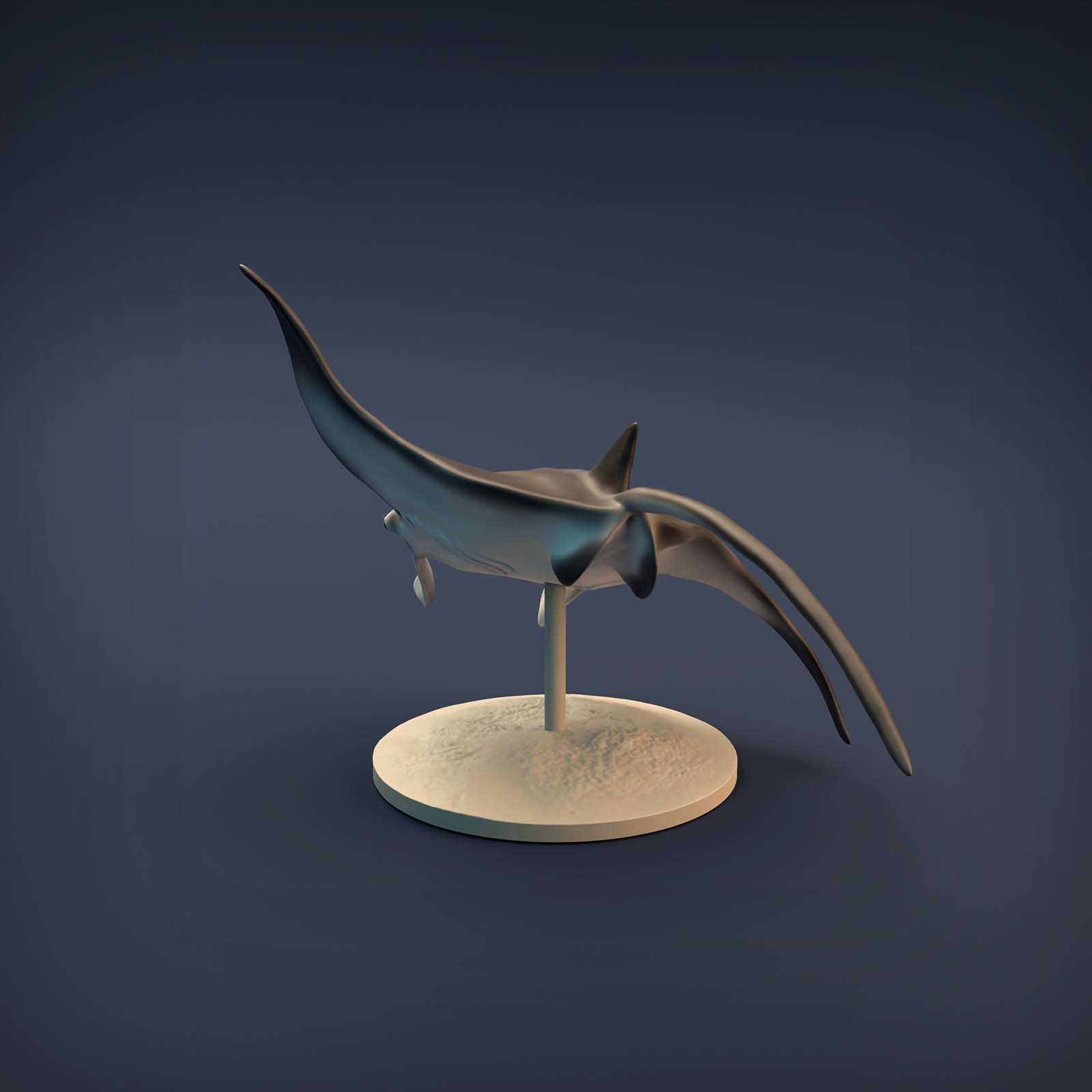 3D file Manta Ray・3D printing idea to download・Cults