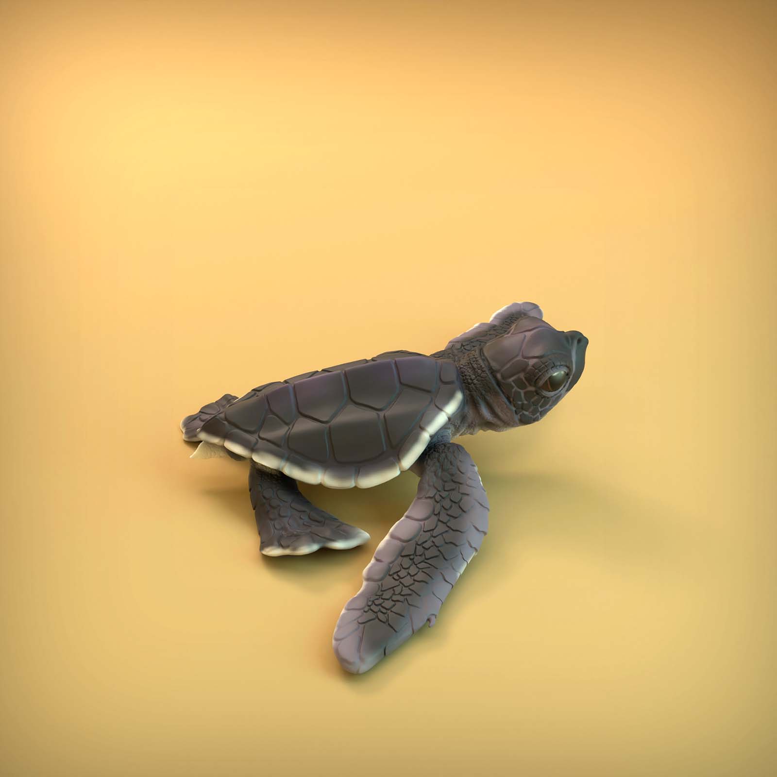 3D file Sea Turtle Hatchling・3D printable design to download・Cults