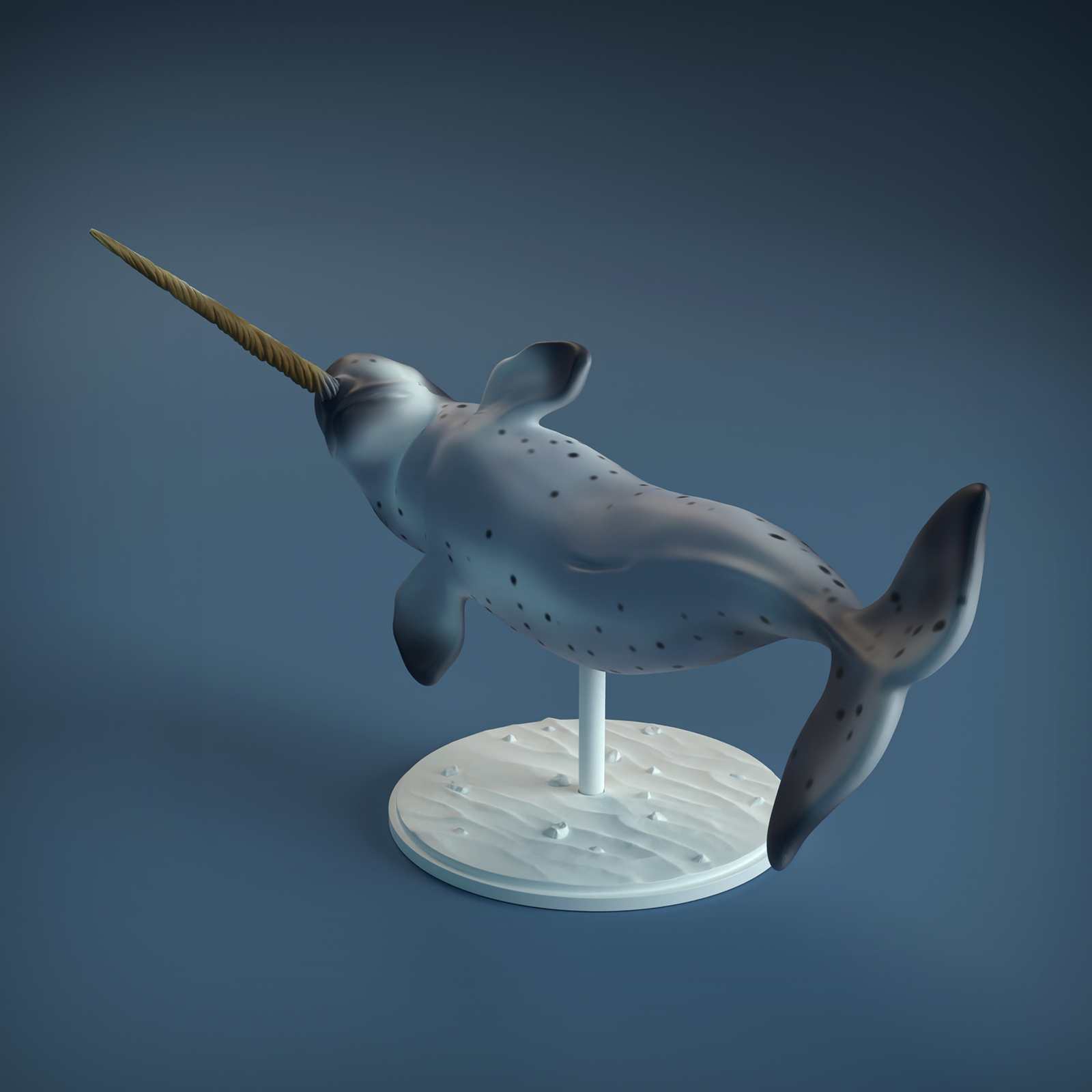3D file Narwal・3D printing model to download・Cults