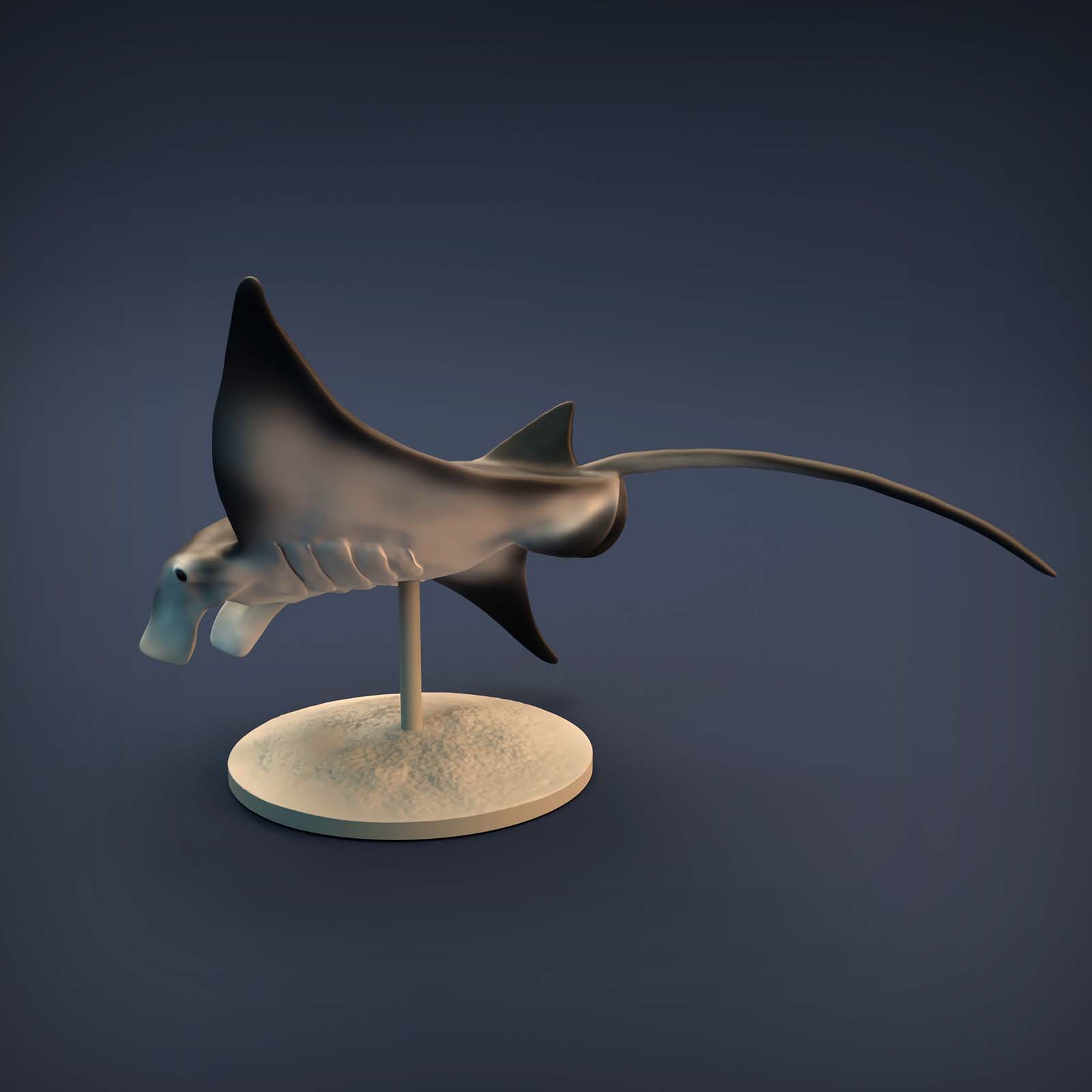 3D file Manta Ray・3D printing idea to download・Cults