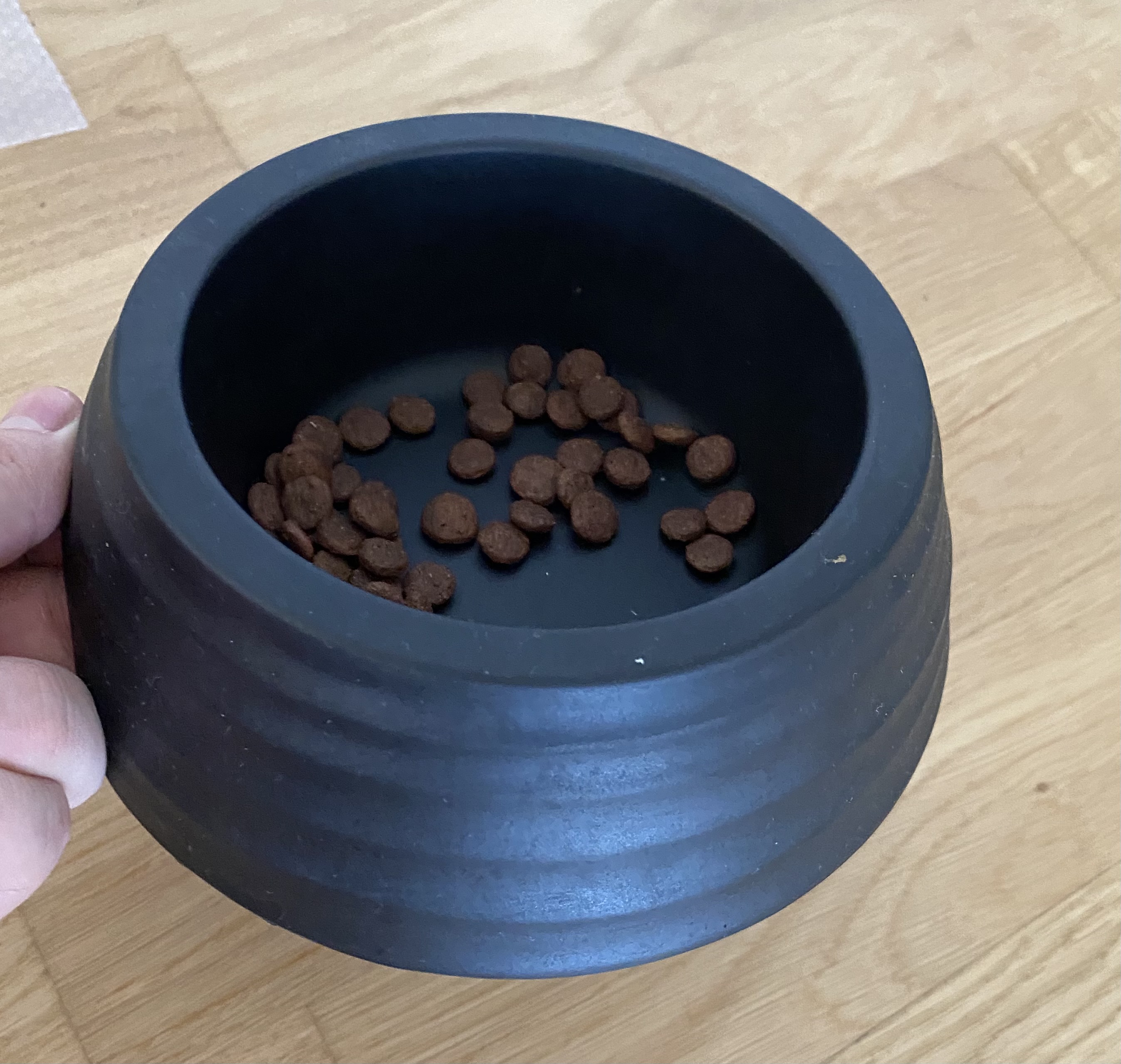 Free STL file Dog Food Bowl・3D print design to download・Cults