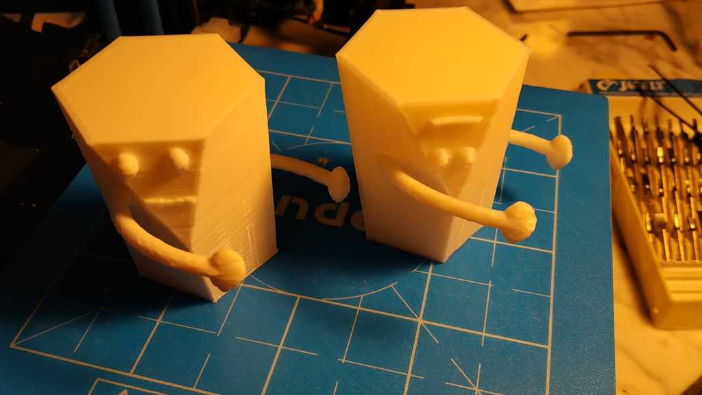 Free 3D file Lovely Scutoids・3D printing model to download・Cults