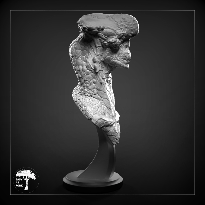 STL file "OTHER HEAD" SERIES - ISSUE #4・Model to download and 3D print ...