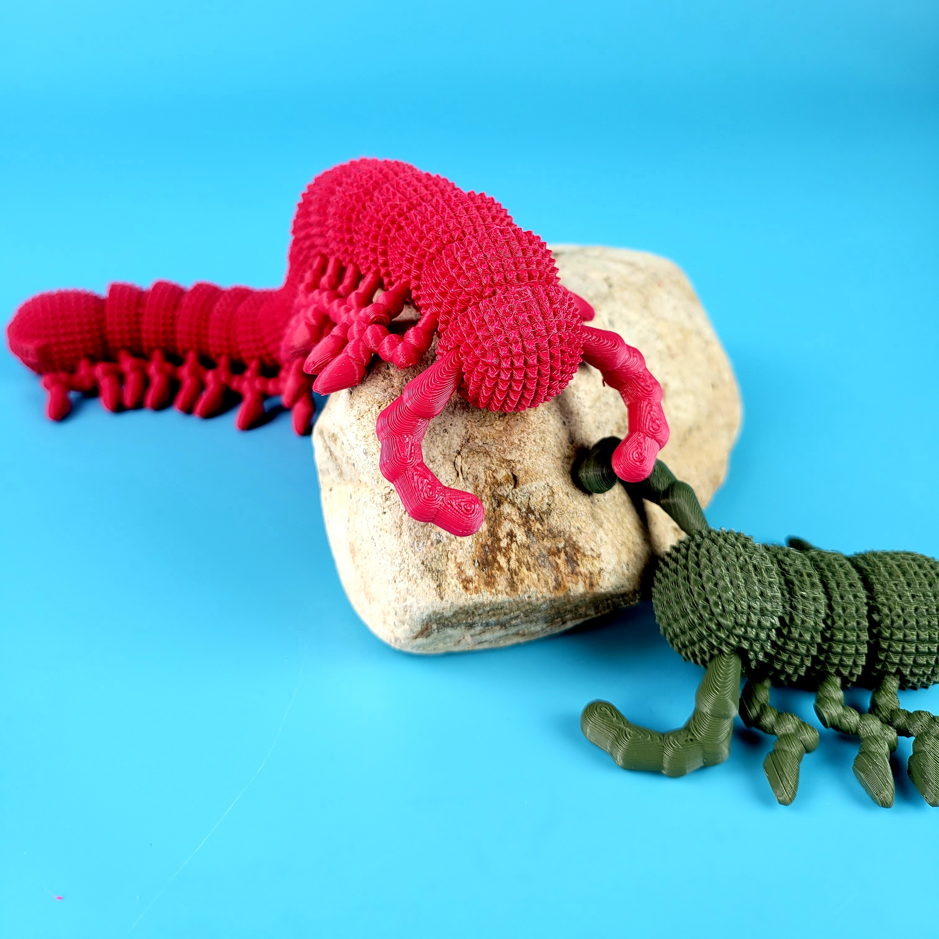 STL file Articulated African Giant MilliPad・3D printable model to ...