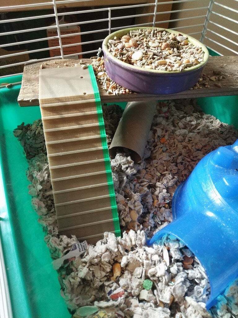 Free STL file Hamster Ramp・3D print design to download・Cults