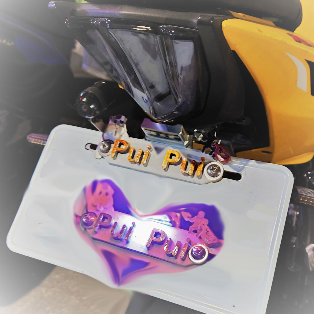 Free 3D file License plate decoration・3D printing idea to download・Cults