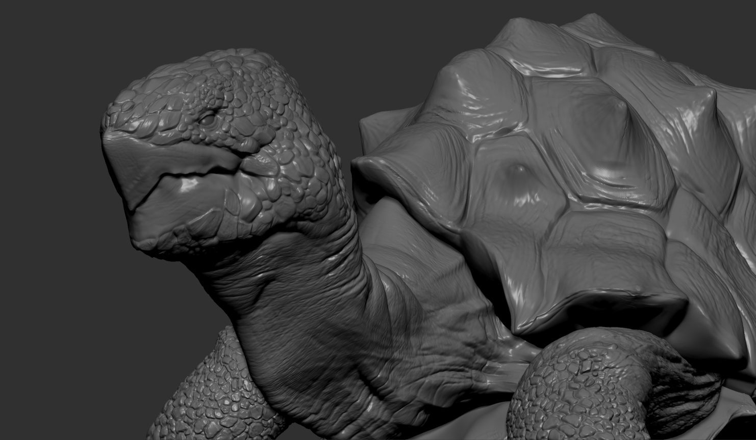 STL file Turtle - No Presupported・3D printer model to download・Cults