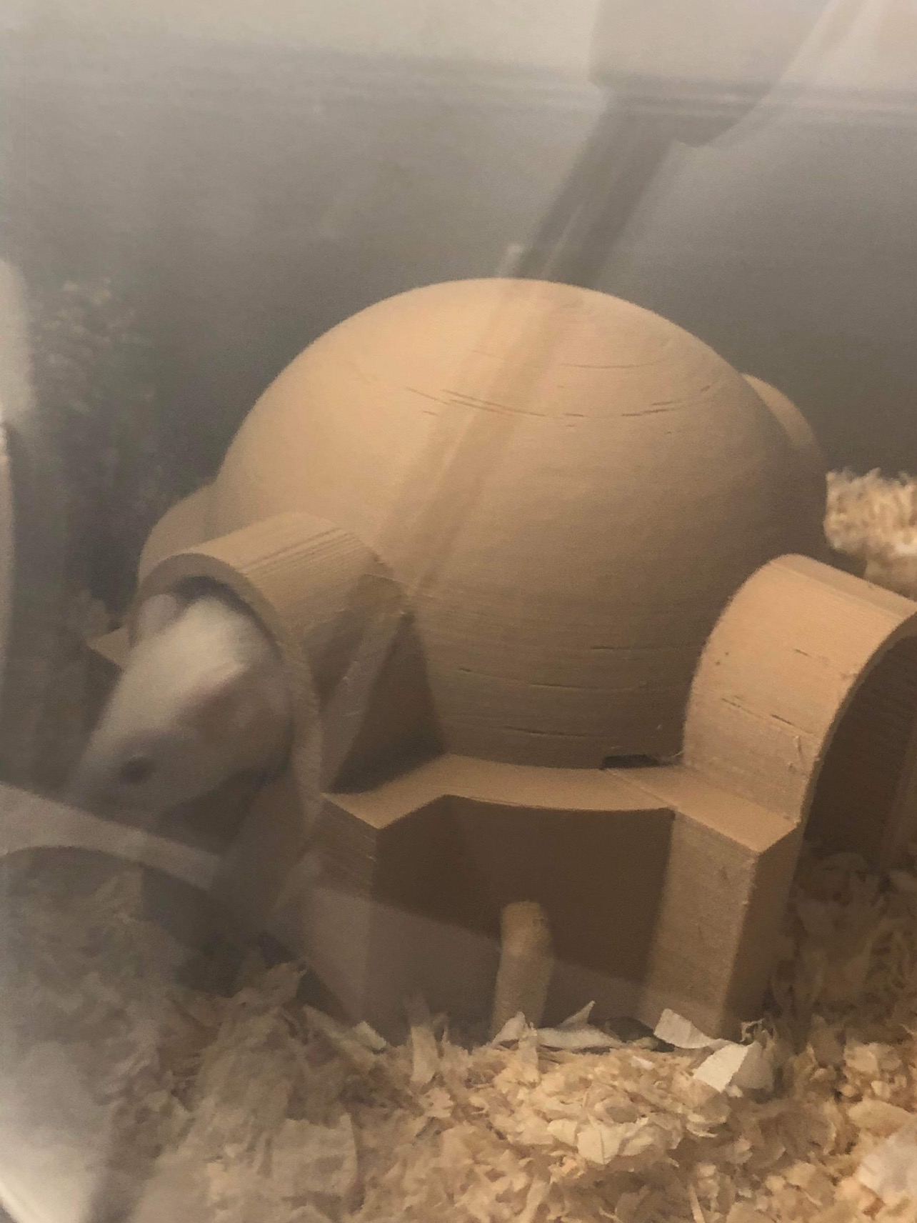 STL file Tatooine Rodent House Star Wars・3D print design to download・Cults
