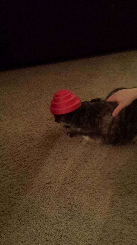 Free STL file Energy Dome / Devo Hat・3D printable model to download・Cults