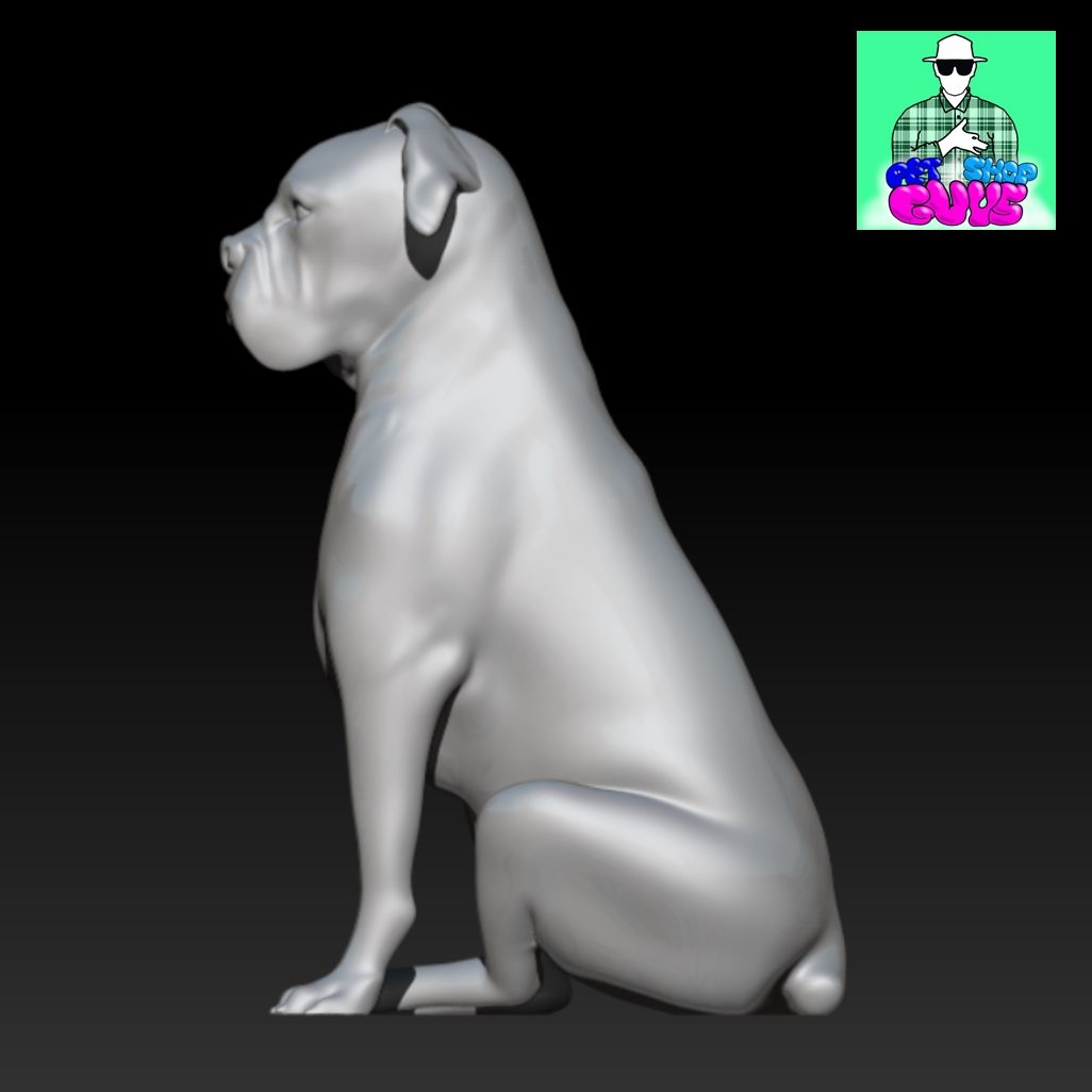 STL file Boxer Breed Dog 🐕・3D print model to download・Cults