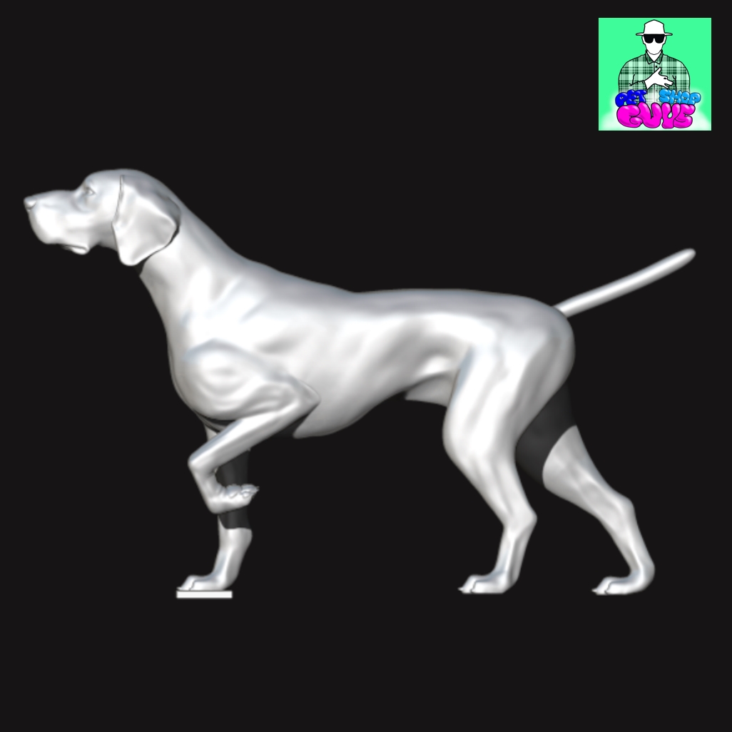 STL file English Pointer Breed Dog 🐕・3D printer model to download・Cults