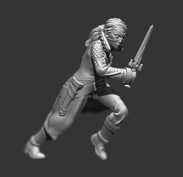 Free STL file Fantasy female thief Rogue assassin ver 2.0・3D printing ...