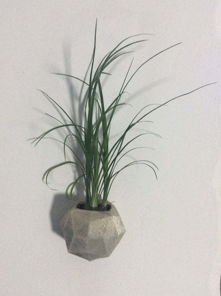 Free STL file Geometric Wall Planter 🪴・3D printer design to download・Cults