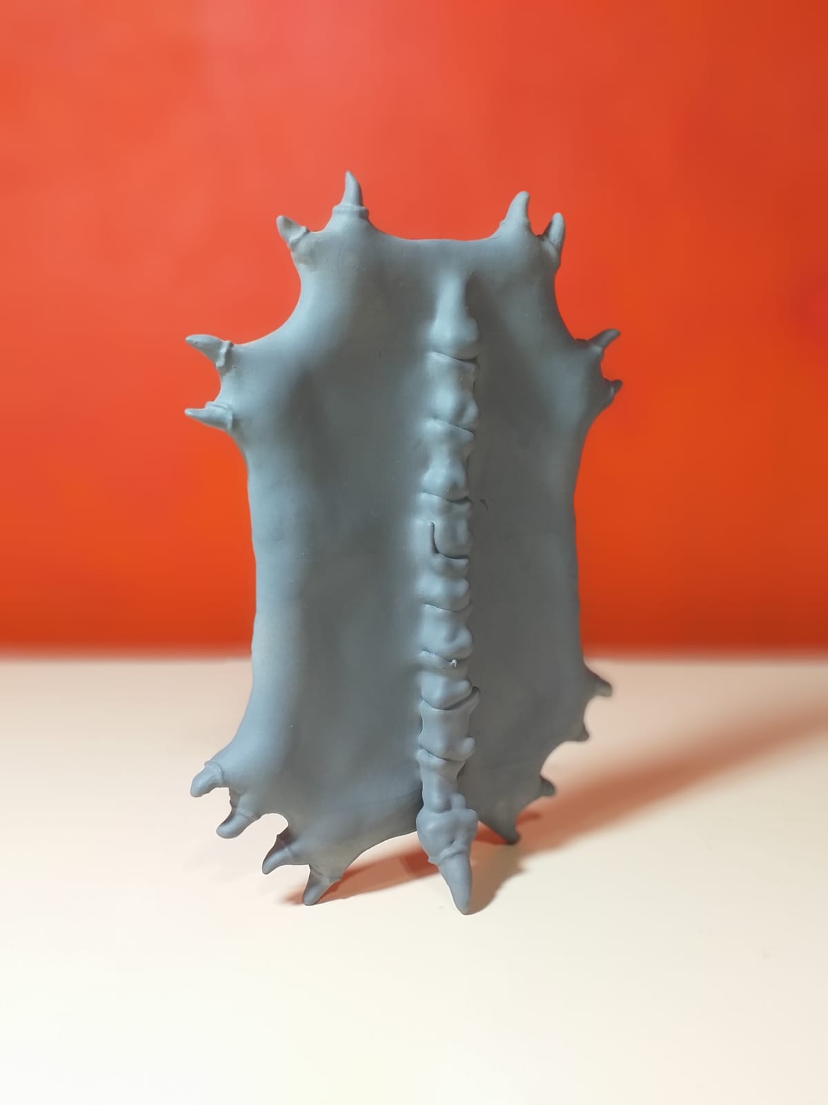 STL file Magic Mirror - Motu & Motuc・3D print model to download・Cults