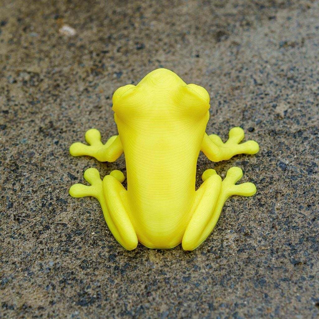 STL file Sweet Little Tree Frog・3D print design to download・Cults