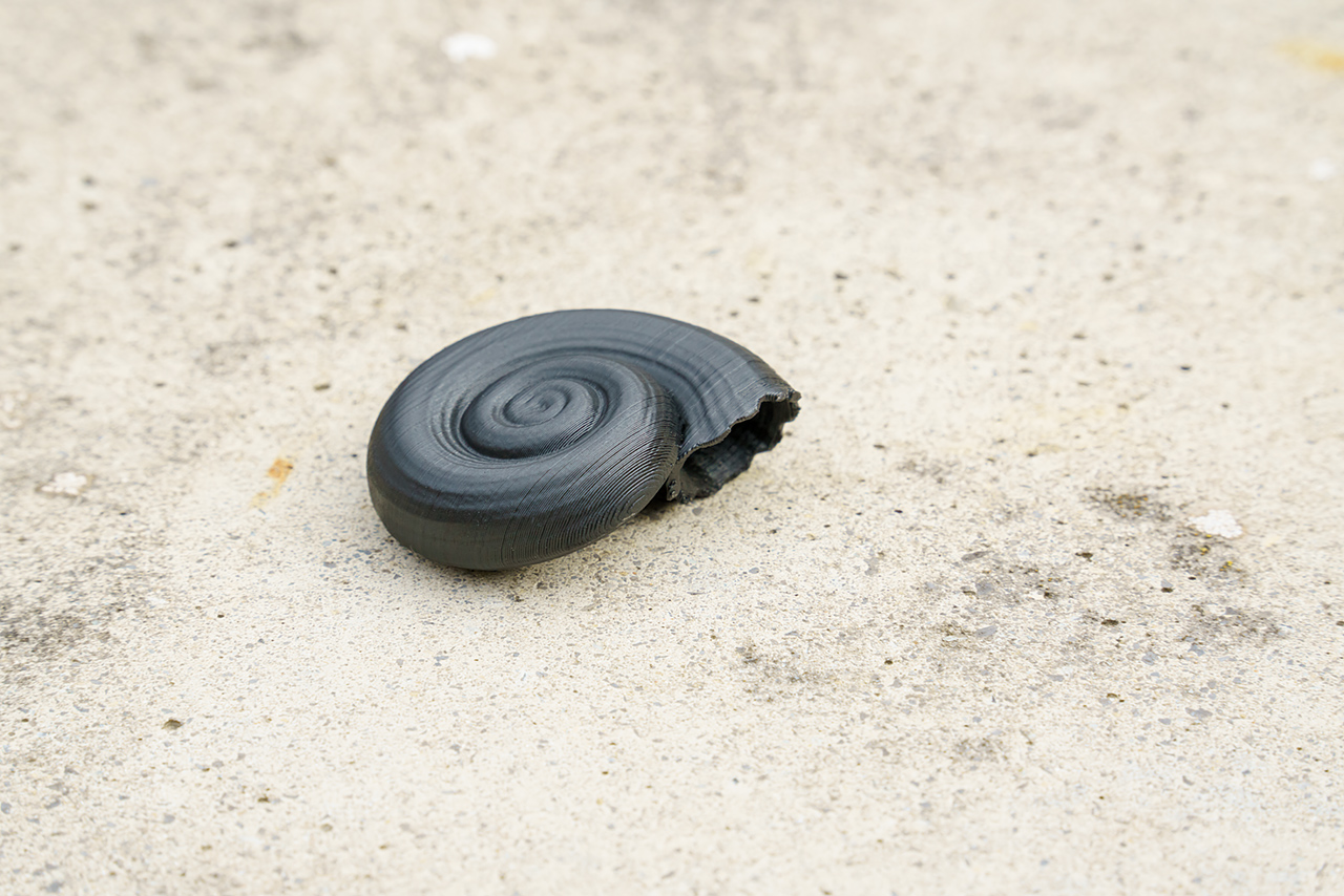 STL file Shell of a snail decoration object 🐚・3D printing template to ...