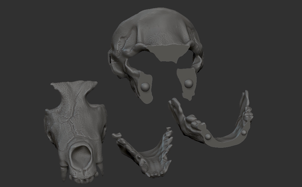 STL file Movable Skull Mask・3D printing model to download・Cults