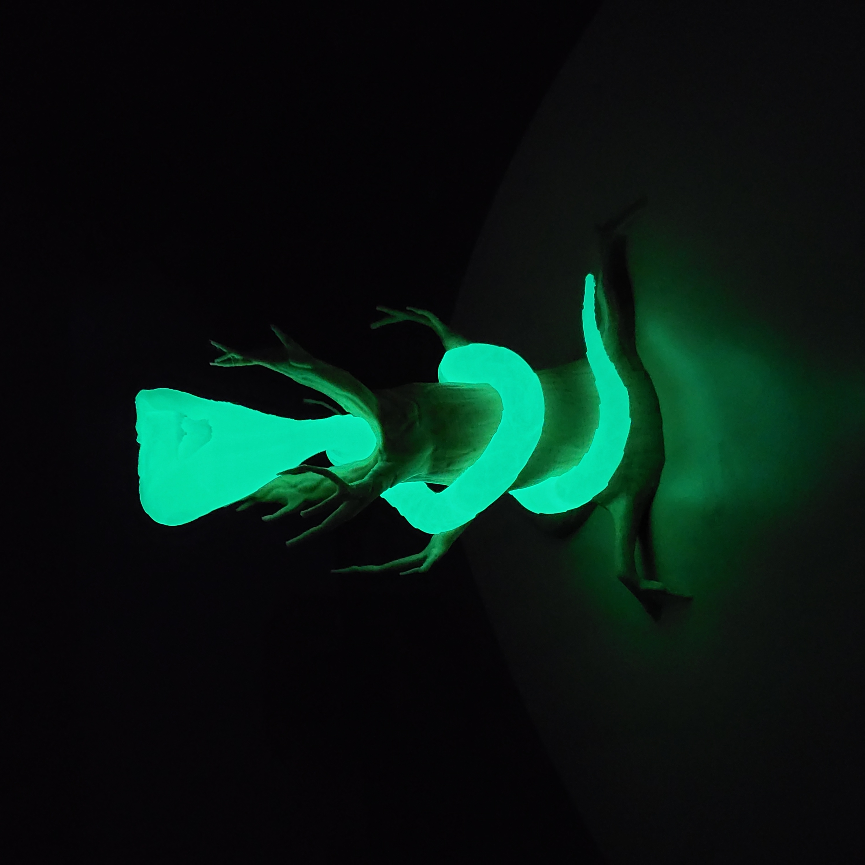 3D file Snake on Tree・3D printer model to download・Cults