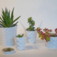 Download free 3D printing designs Parametric Flower Pots ・ Cults