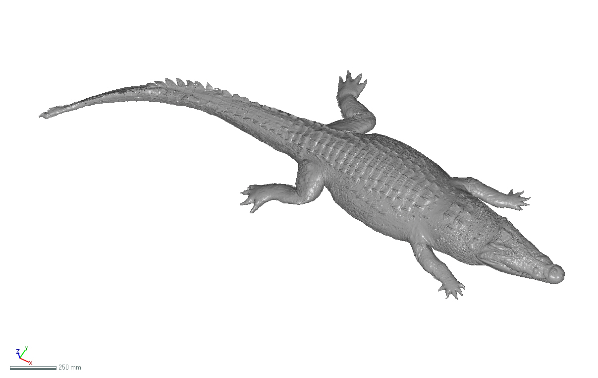 STL file Crocodile・3D print design to download・Cults