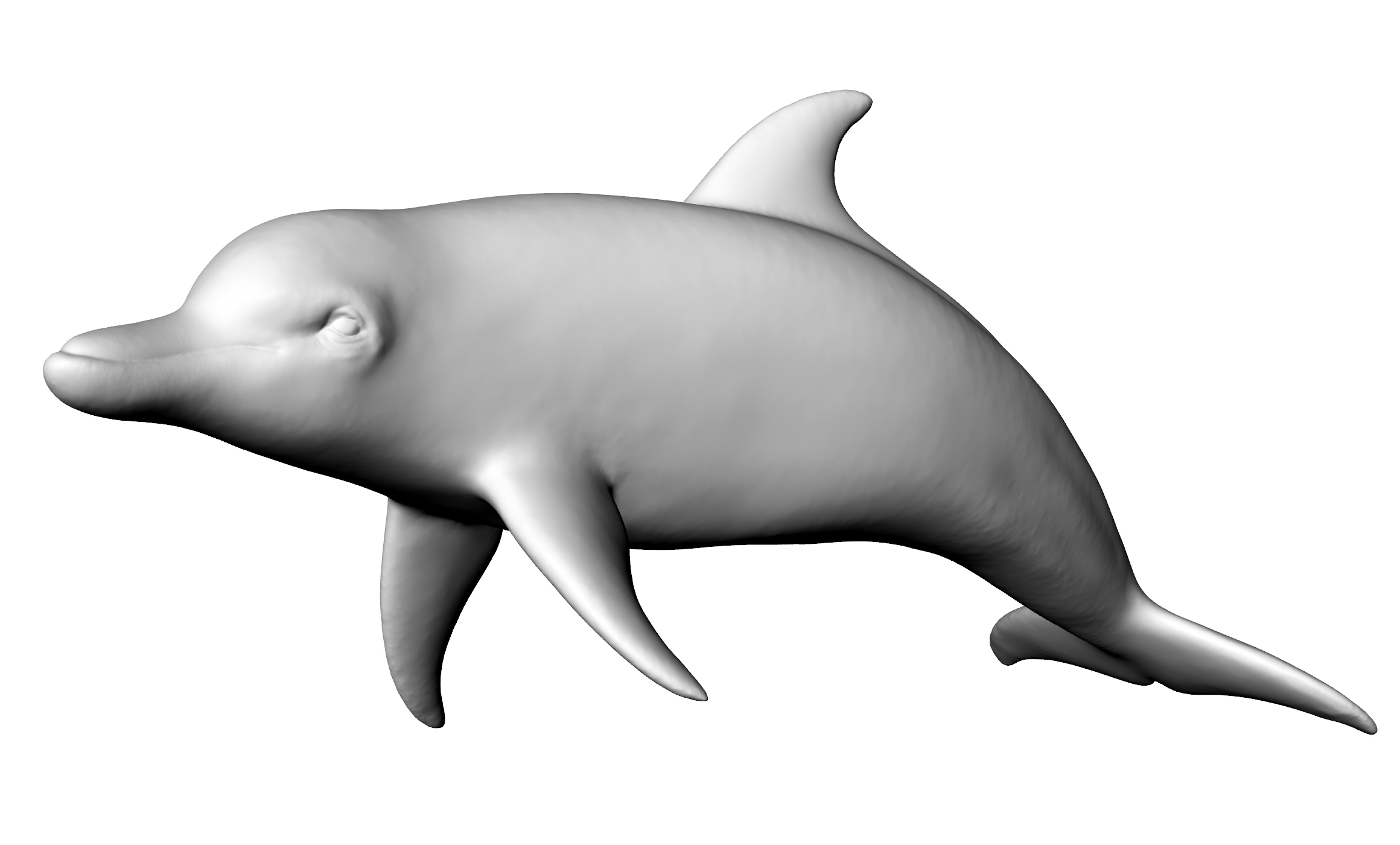 STL file Dolphin・3D printing design to download・Cults