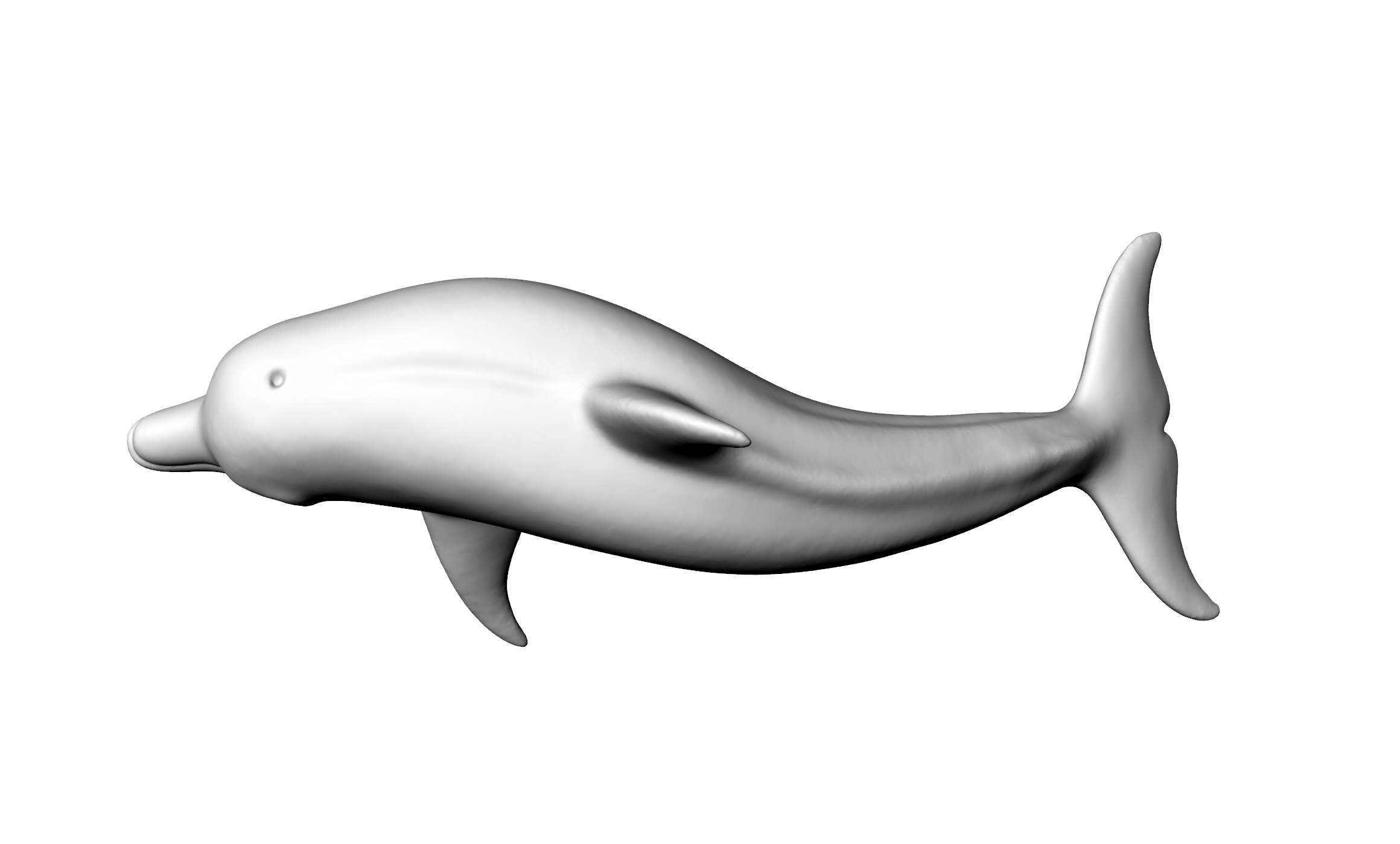 STL file Dolphin・3D printing design to download・Cults