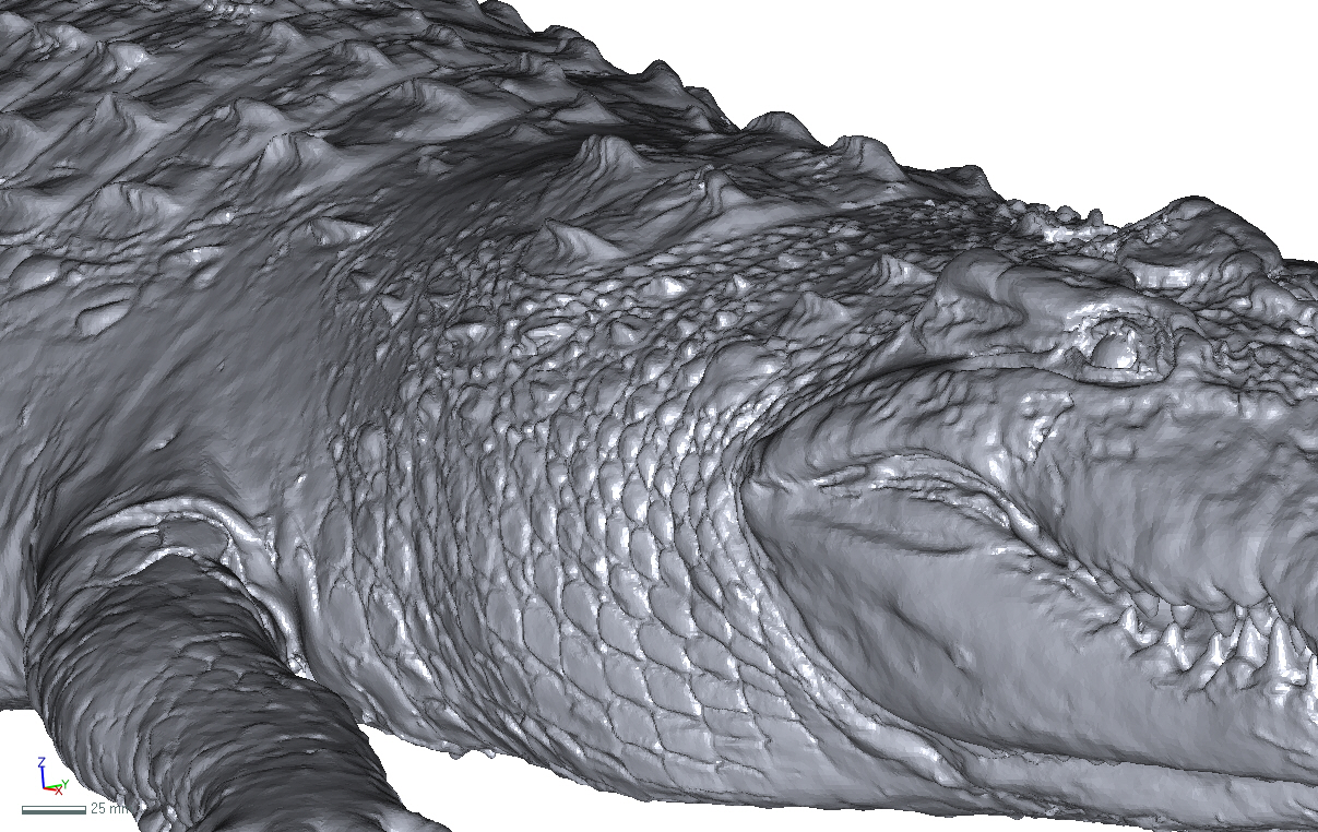 STL file Crocodile・3D print design to download・Cults